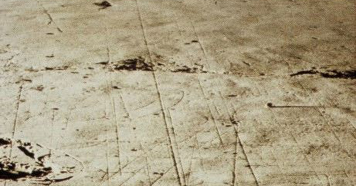 The Tracing Floor | Media | Níall McLaughlin
